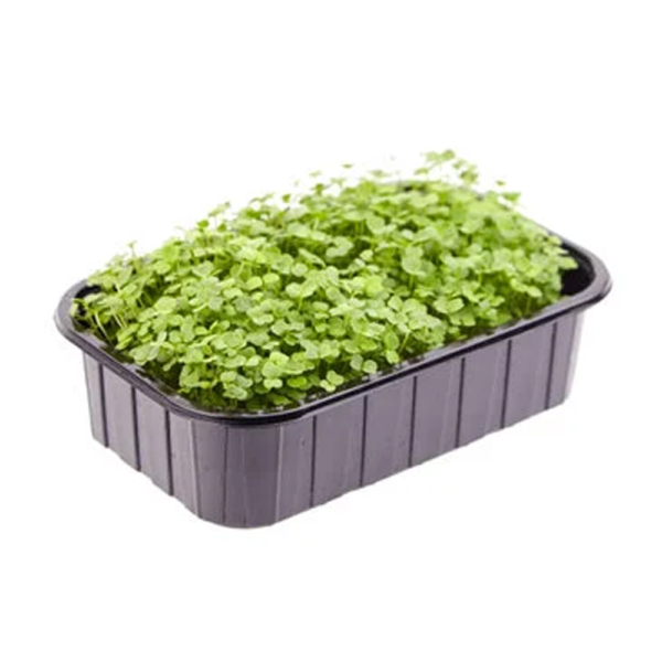 Cress - We Deliver Fresh