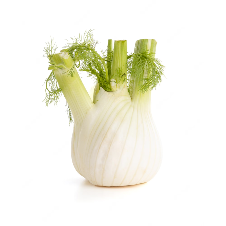 Fennel - We Deliver Fresh
